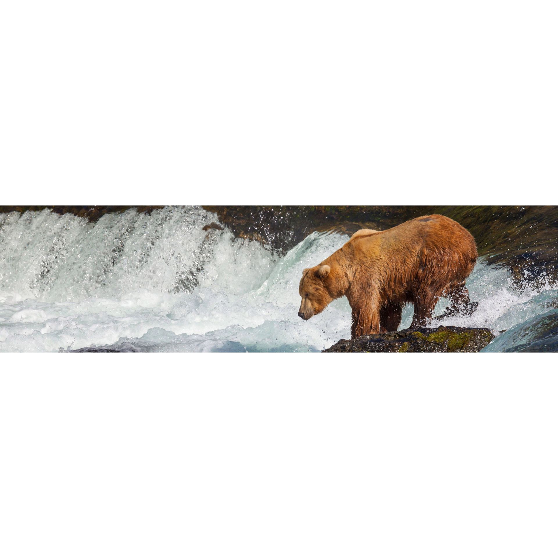 Experience the Best Alaskan Luxury Cruises | Silversea