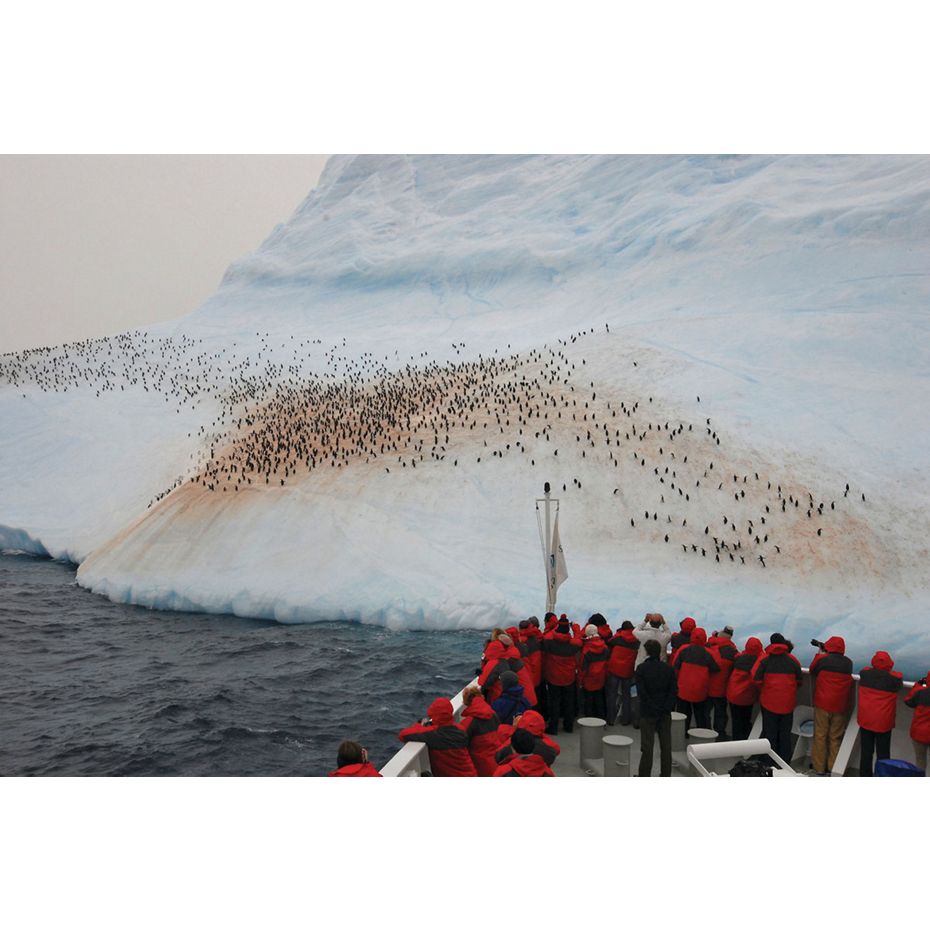 Enjoy Luxury Antarctica Cruises | Silversea