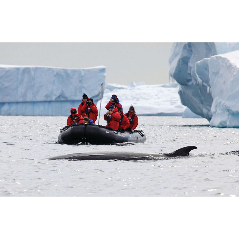 Enjoy Luxury Antarctica Cruises | Silversea
