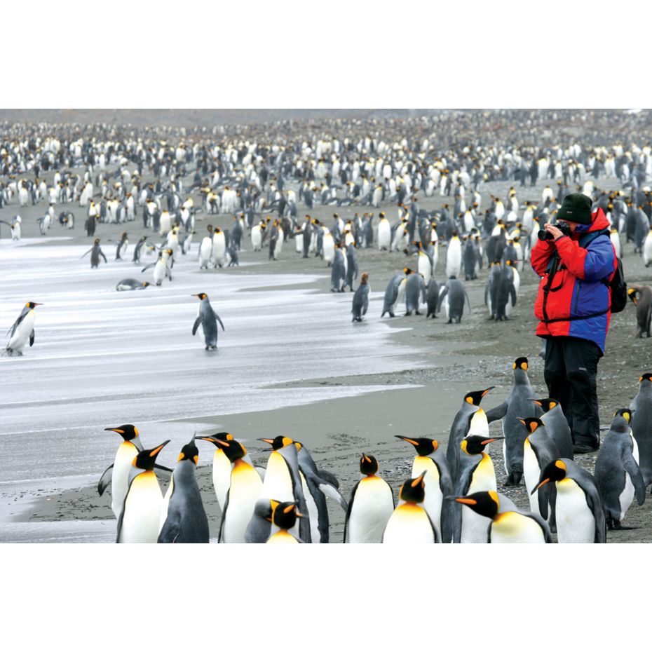 Enjoy Luxury Antarctica Cruises | Silversea