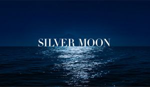 Small Luxury Cruise Ships for Secluded | Silversea